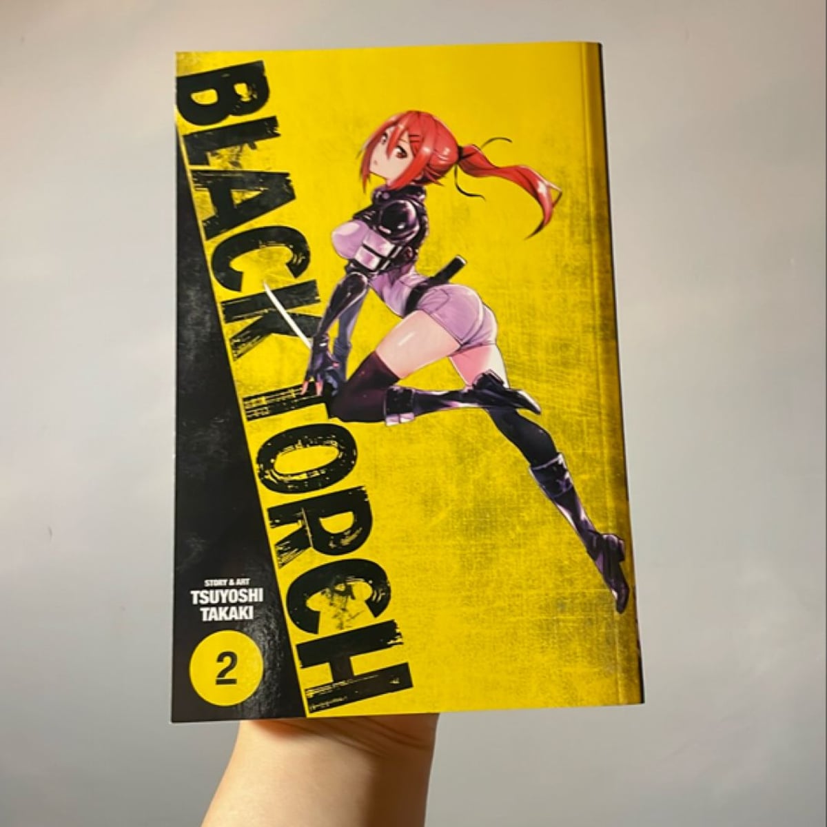 Black Torch, Vol. 2 by Tsuyoshi Takaki