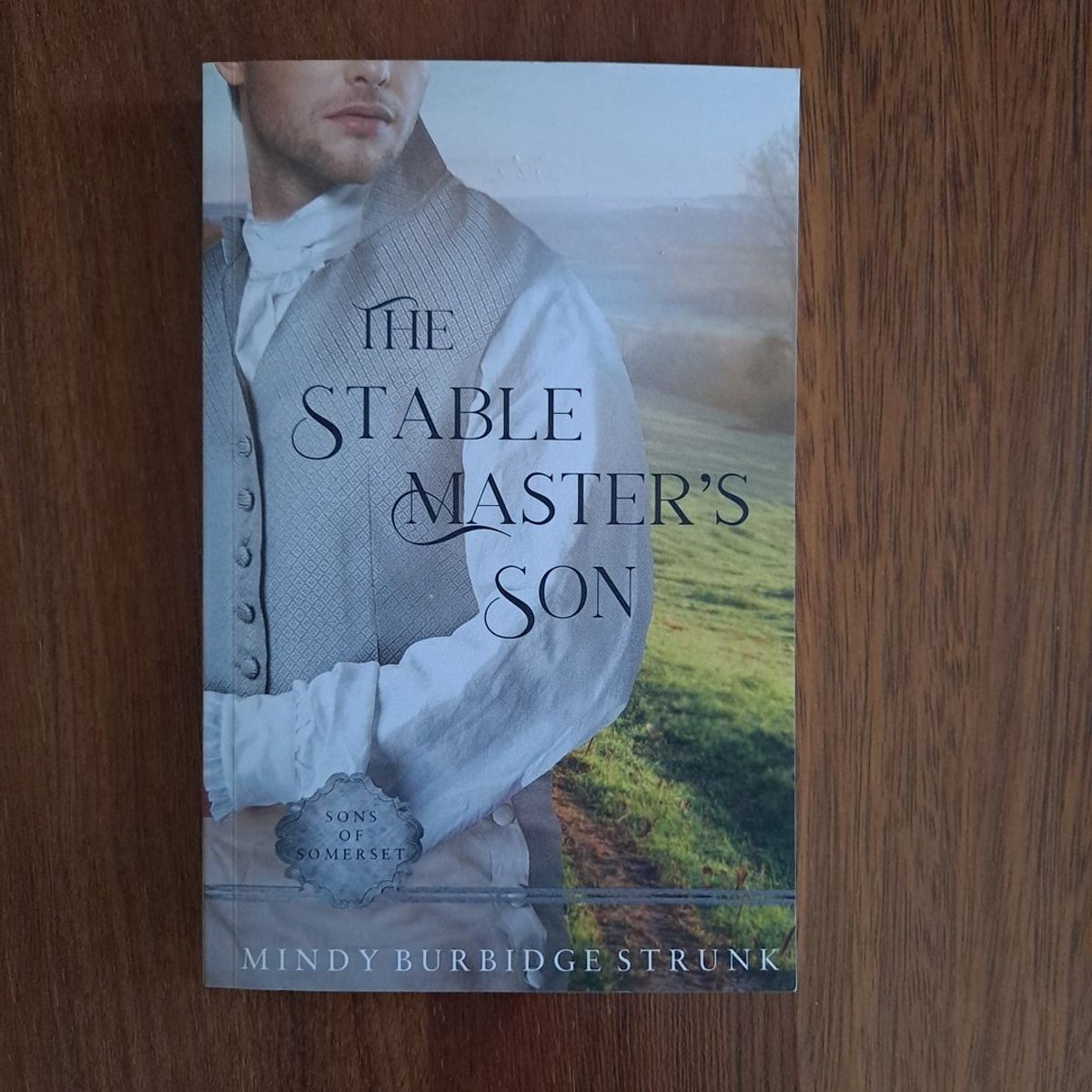 The Stable Master's Son by Mindy Burbidge Strunk
