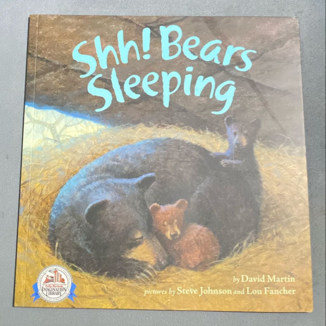 Shh! Bears Sleeping by David Martin