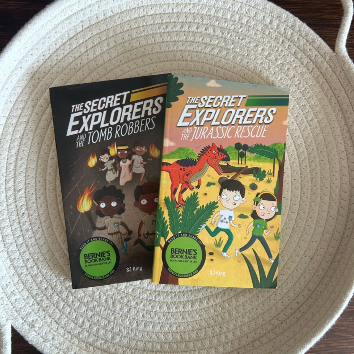 The Secret Explorers and the Jurassic Rescue by S. J. King