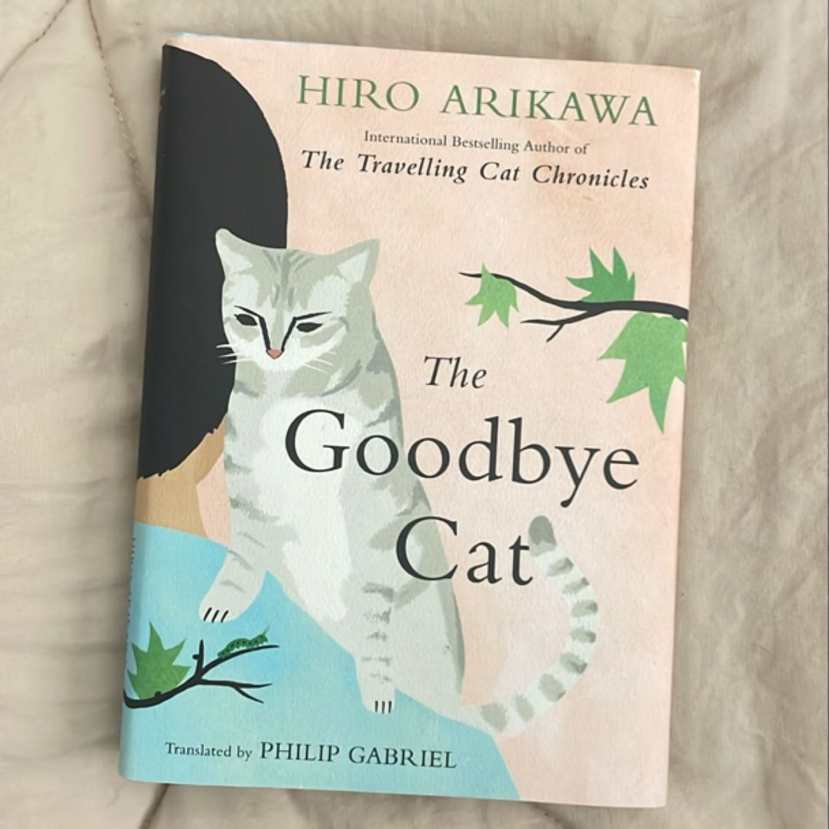 The Goodbye Cat by Hiro Arikawa, Philip Gabriel