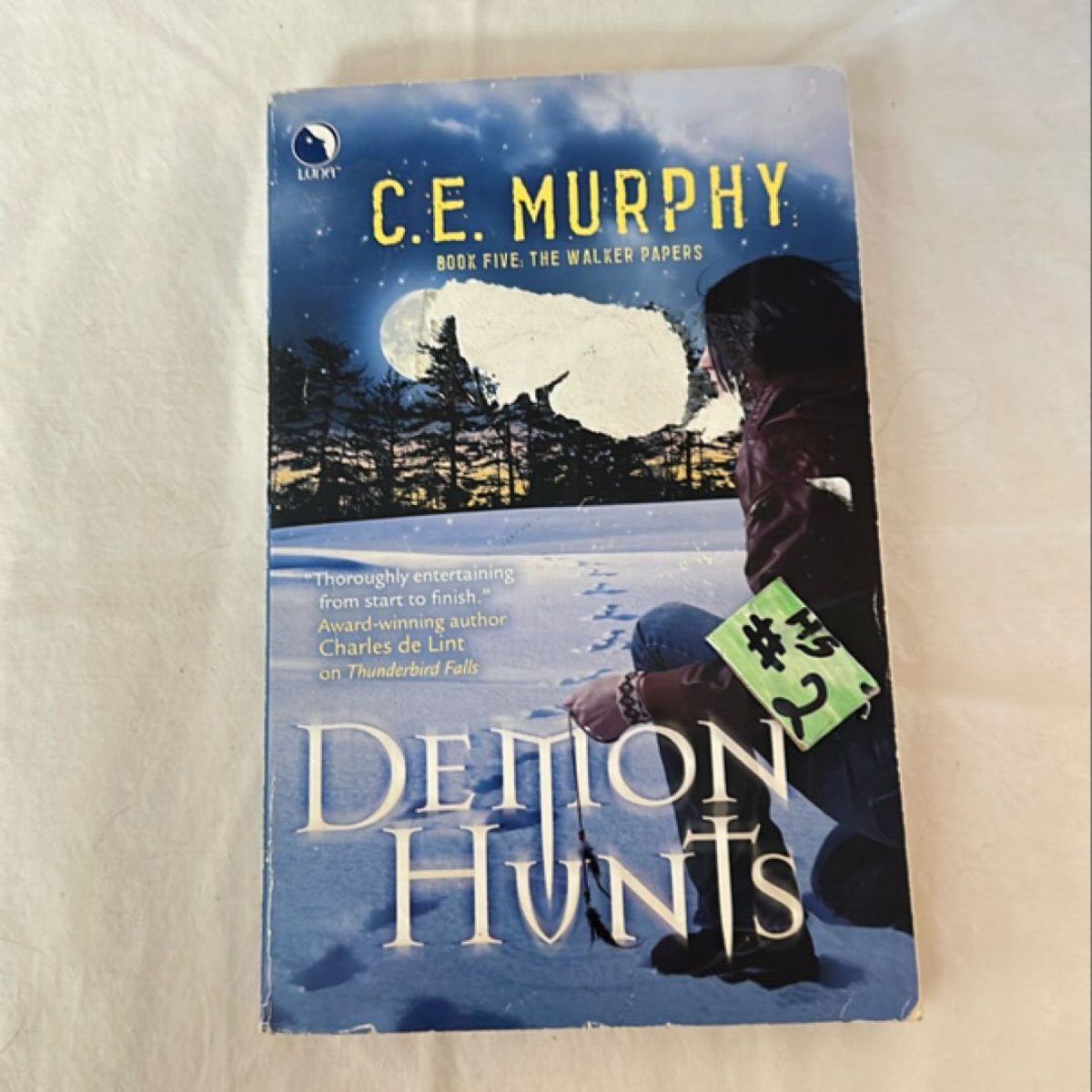 Demon Hunts by C. E. Murphy