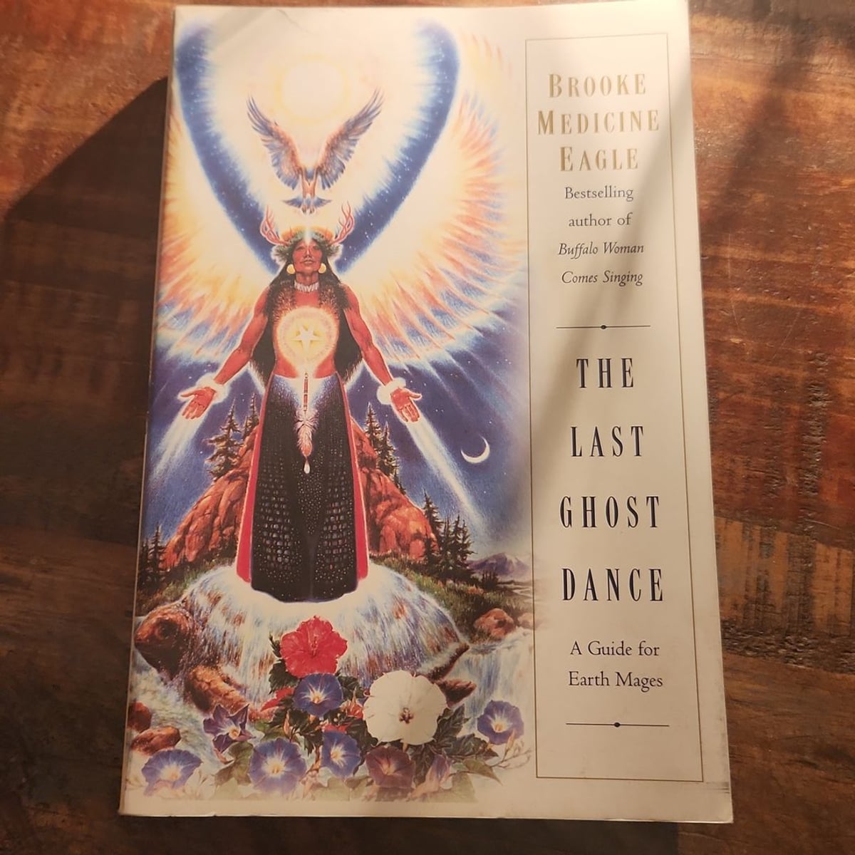 The Last Ghost Dance by Brooke Medicine Eagle