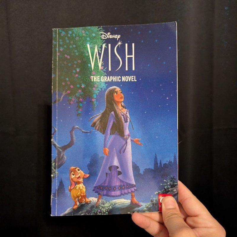 Disney Wish: the Deluxe Graphic Novel by RH Disney