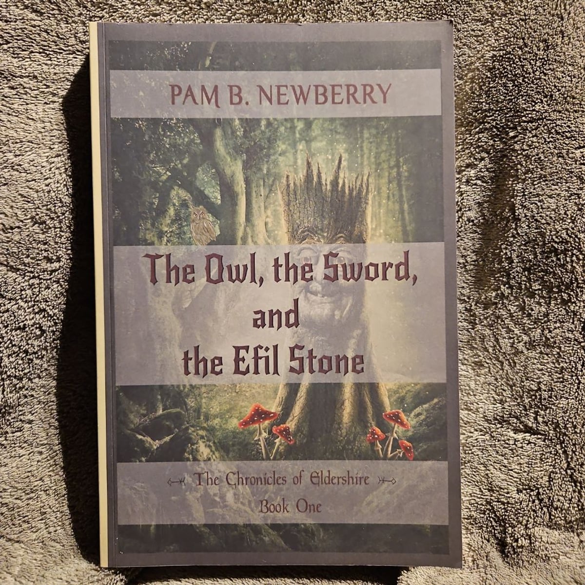 The Owl, the Sword, and the Efil Stone by Pam B. Newberry
