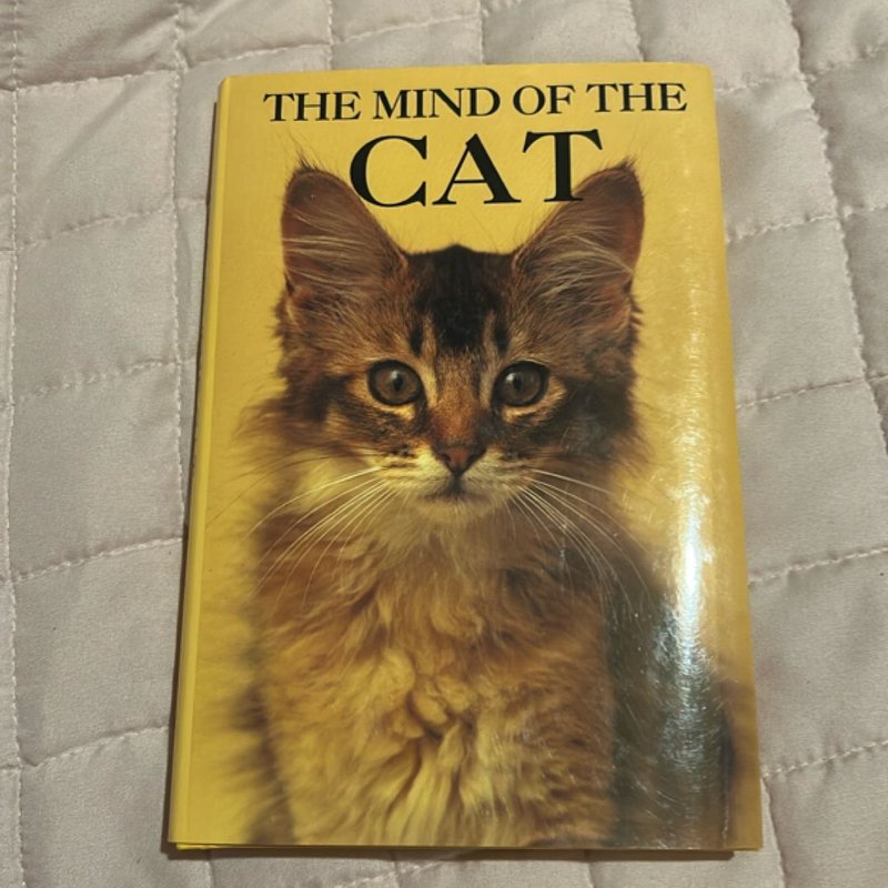 Mind of the Cat by Gary Brodsky