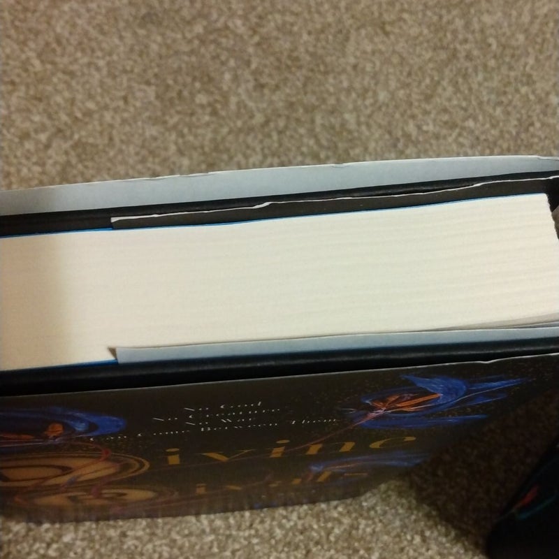 Divine Rivals & Ruthless Vows by Rebecca Ross Bundle First Edition ...