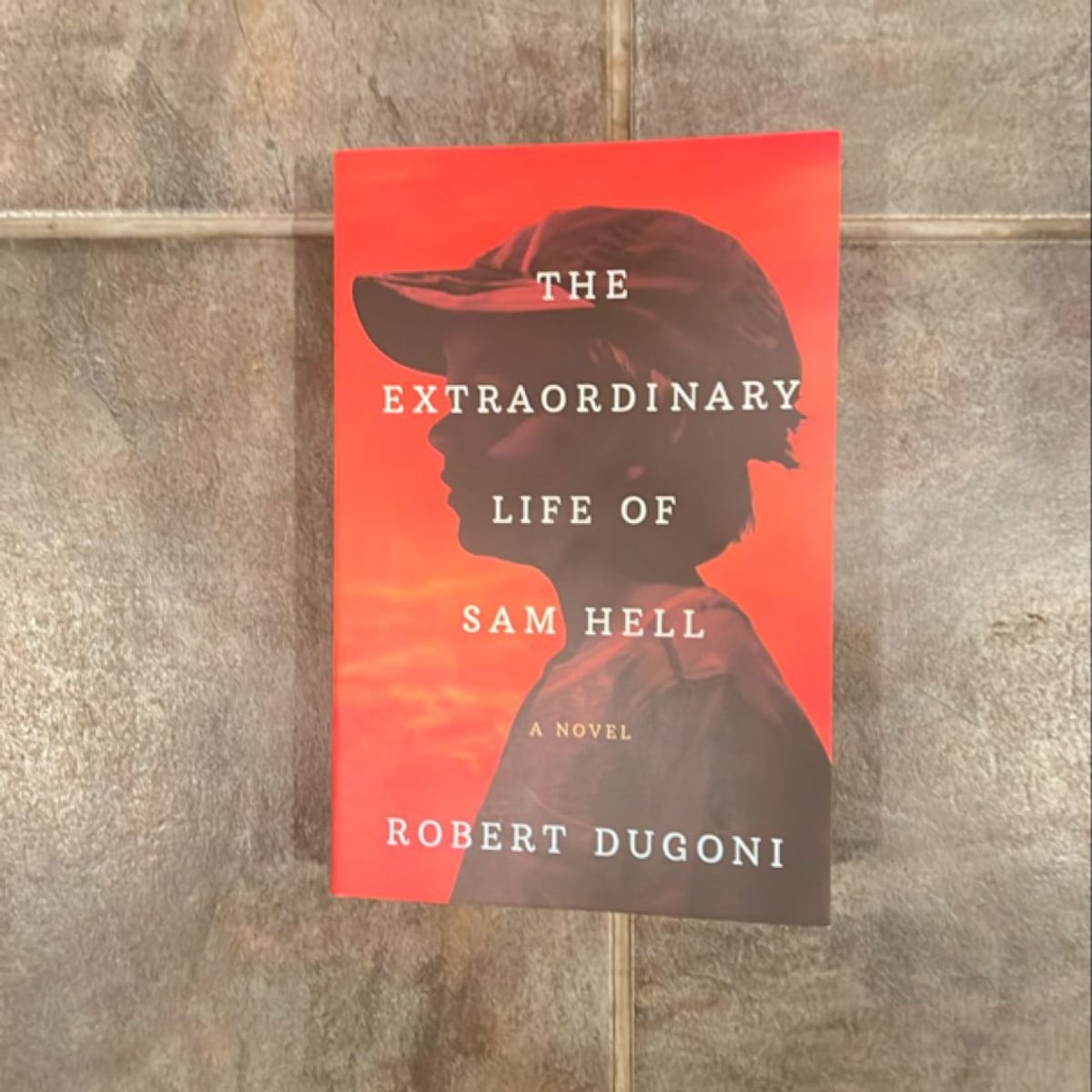 The Extraordinary Life of Sam Hell by Robert Dugoni