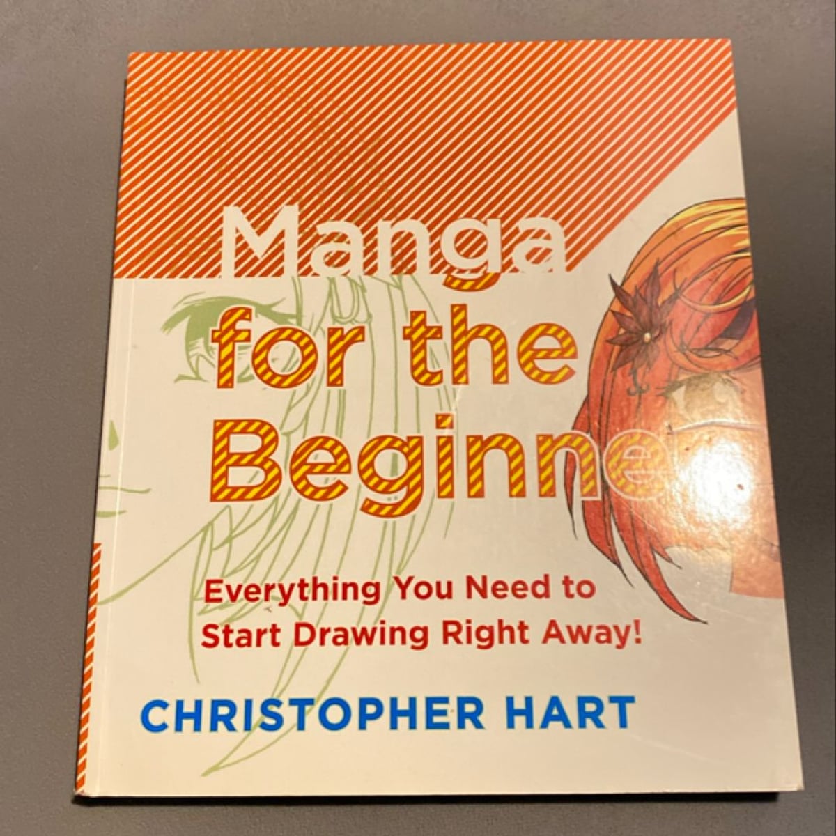 Manga for the Beginner by Christopher Hart