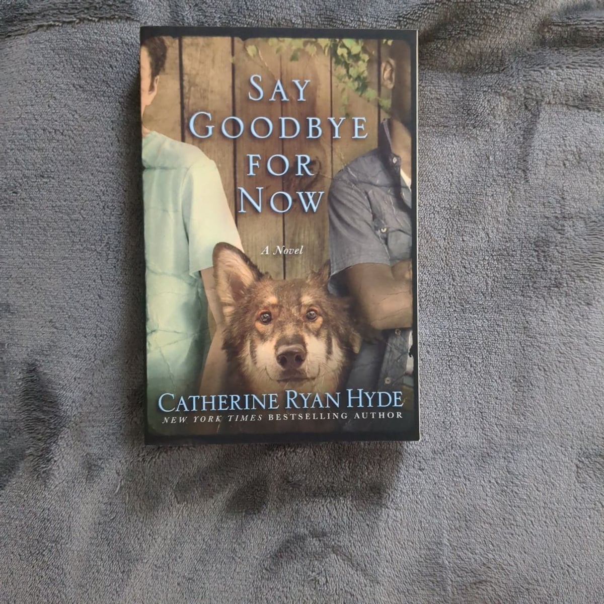 Say Goodbye for Now by Catherine Ryan Hyde
