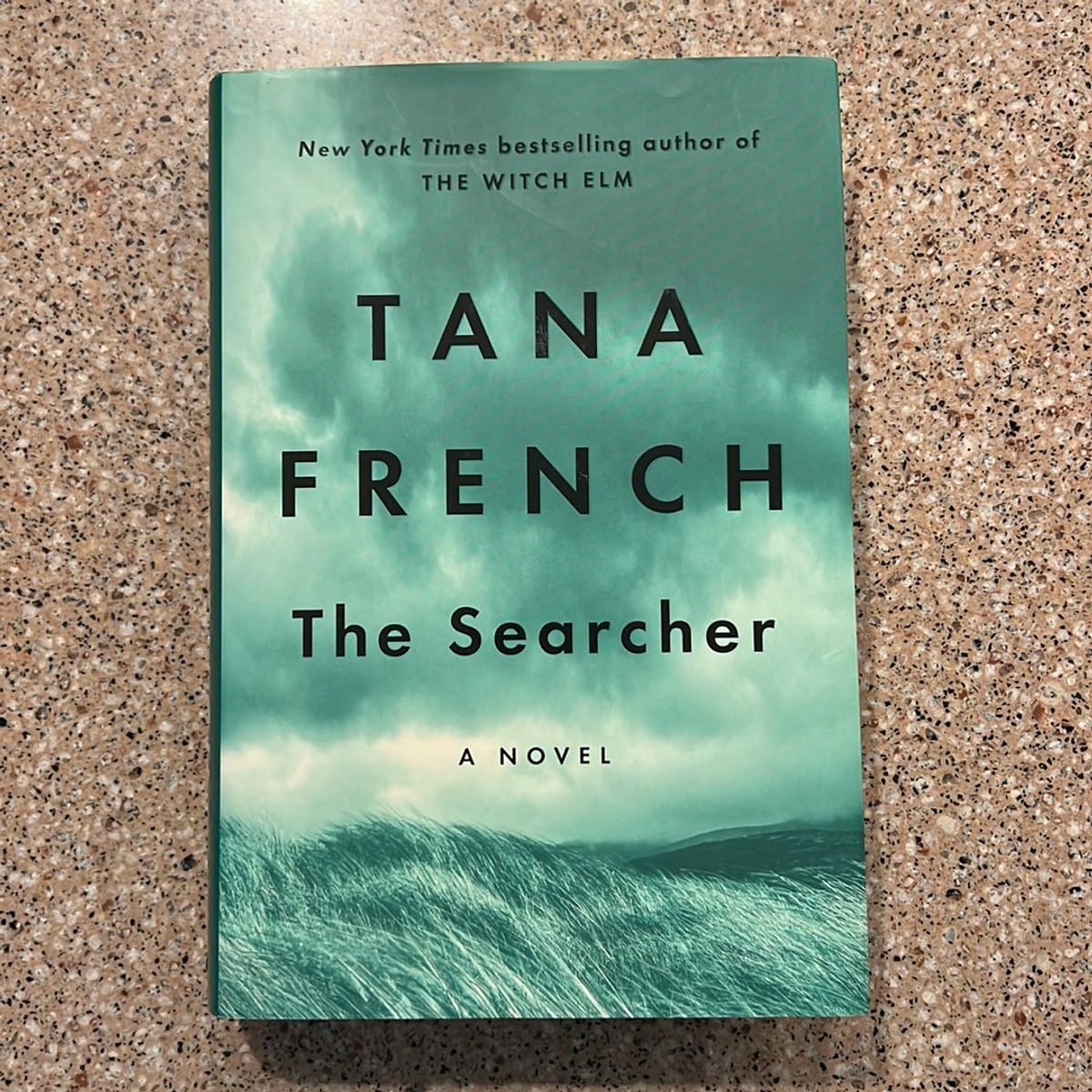 The Searcher by Tana French, Hardcover | Pangobooks