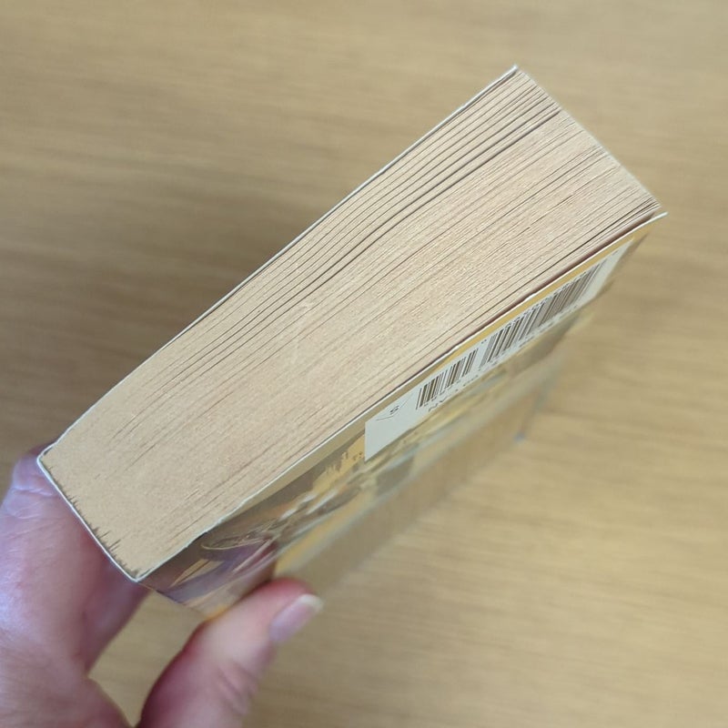 The Mandalorian Armor: Star Wars Legends (the Bounty Hunter Wars) by K. W. Jeter