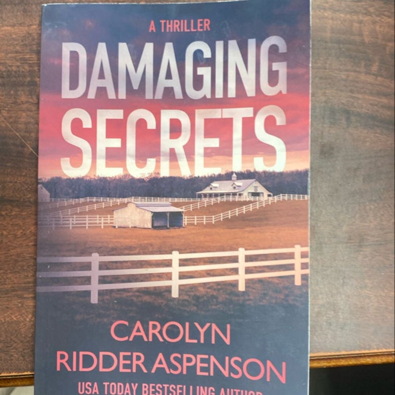 Damaging Secrets by Carolyn Ridder Aspenson