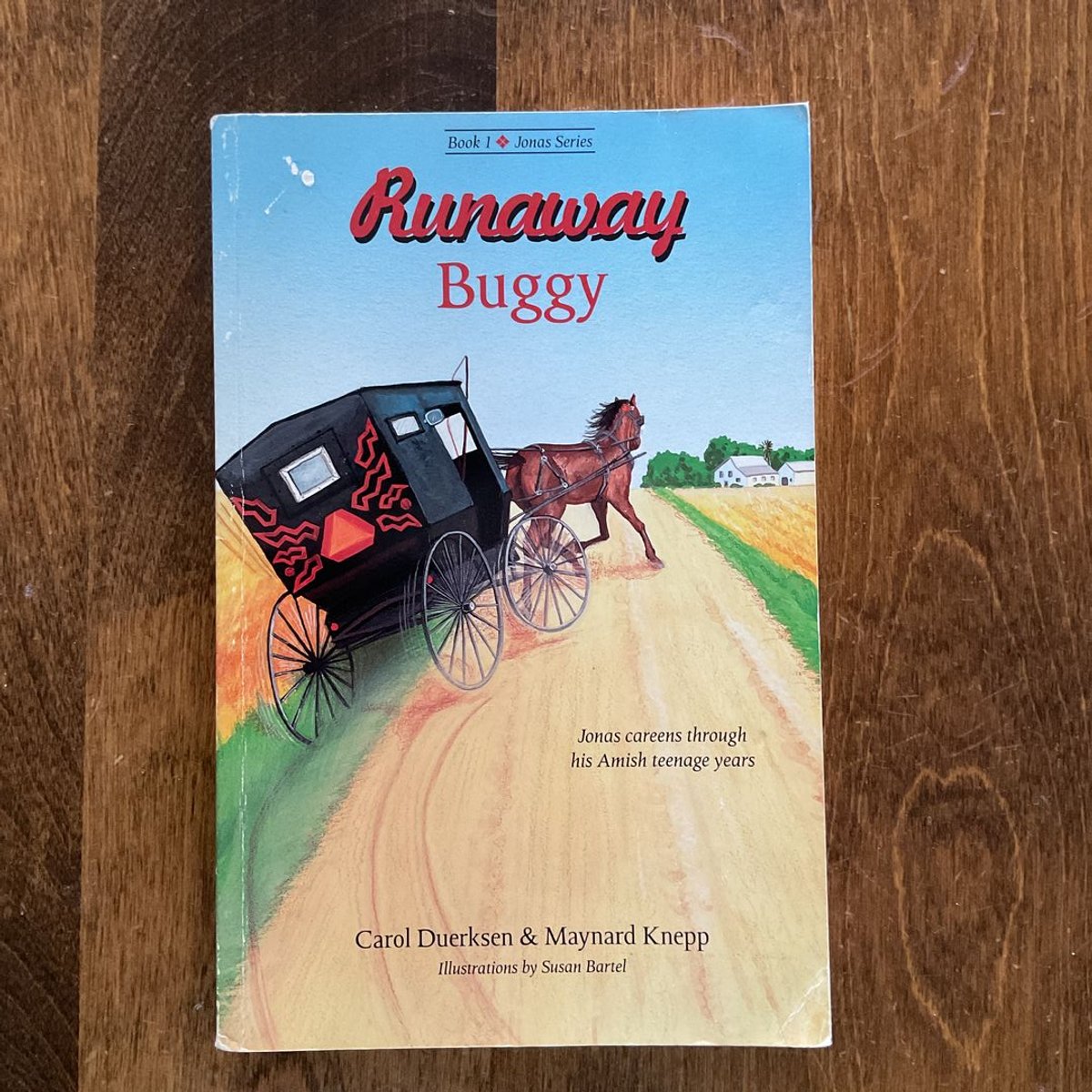 Runaway Buggy by Carol Duerksen, Maynard Knepp