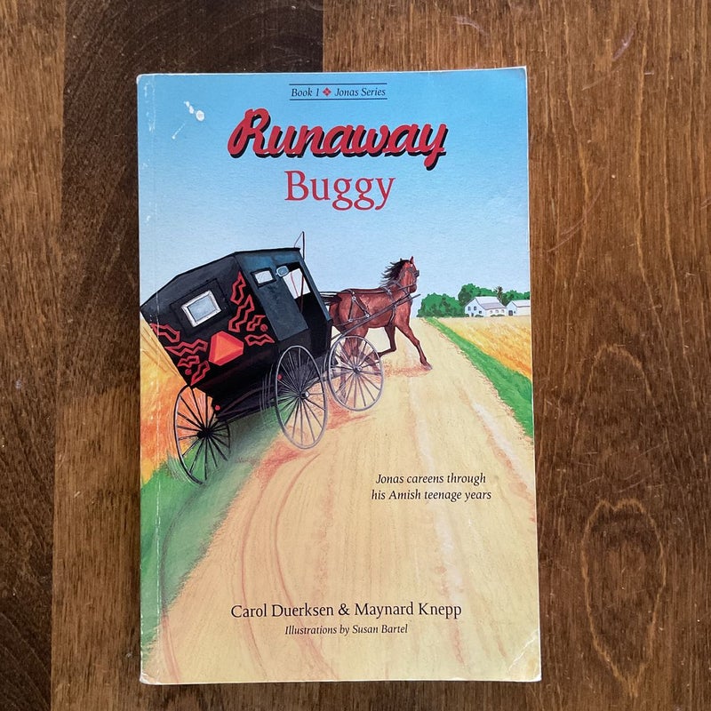 Runaway Buggy by Carol Duerksen, Maynard Knepp