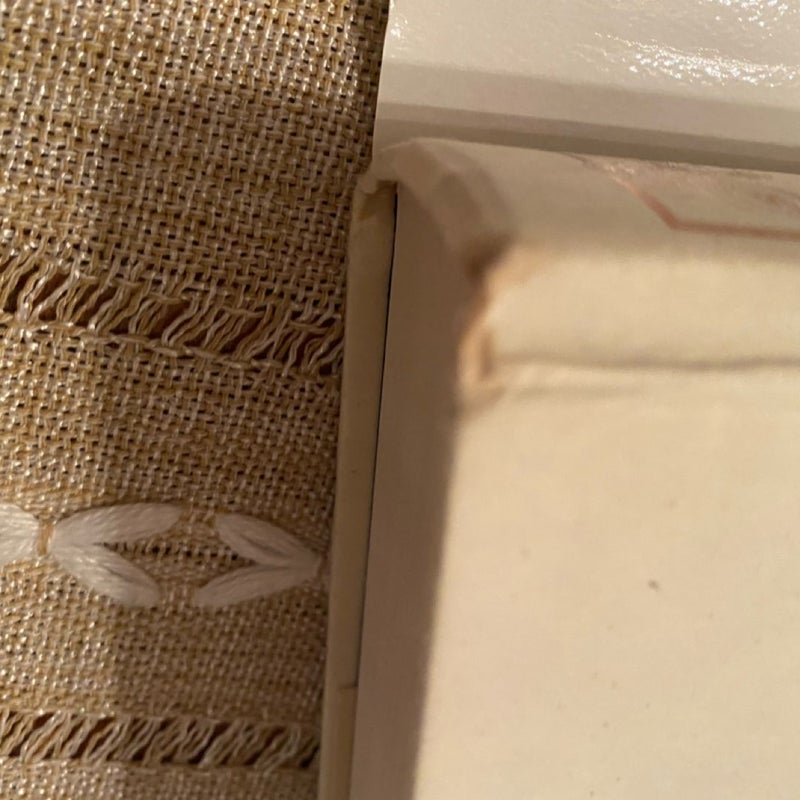 Demon Copperhead by Barbara Kingsolver