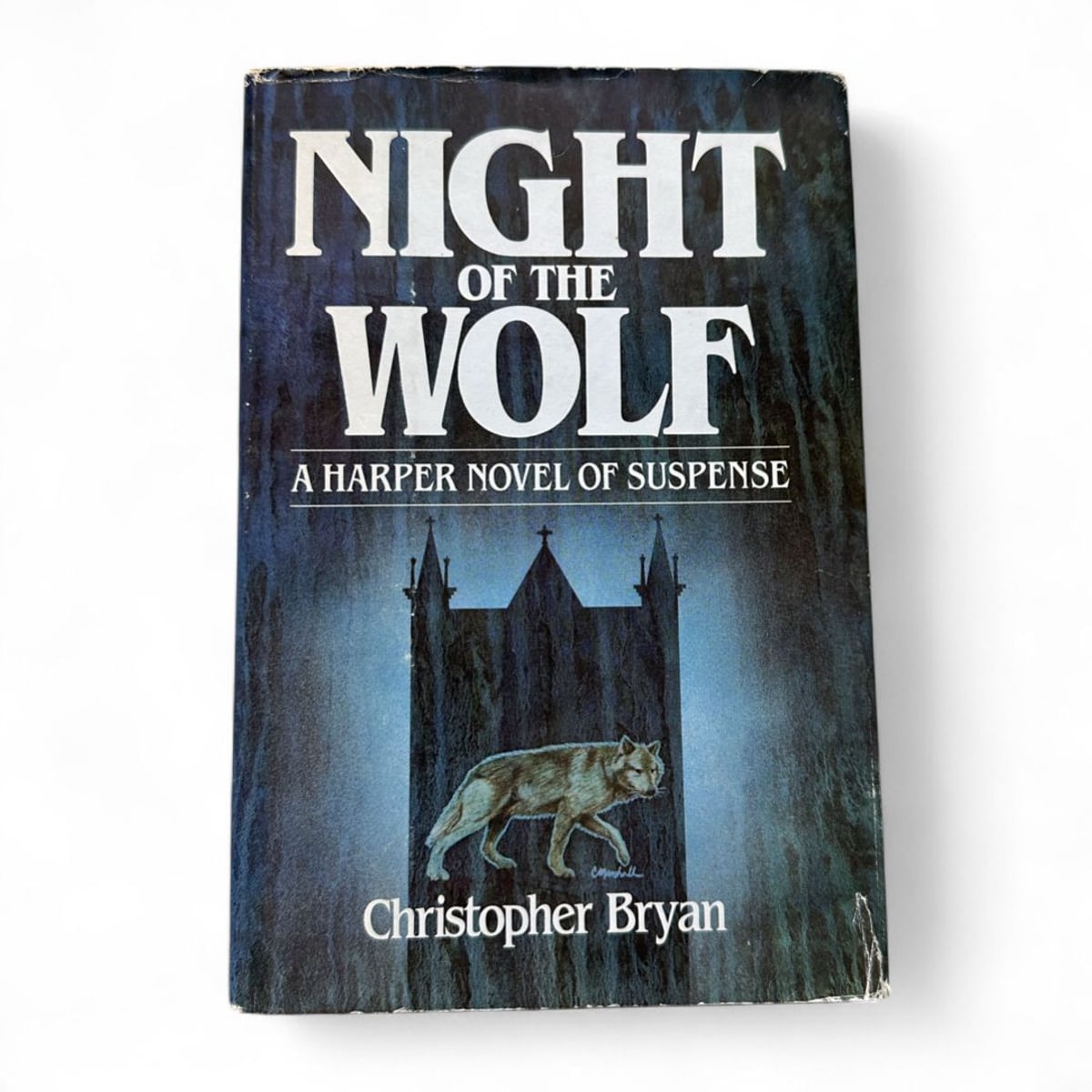 Night of the Wolf by Percy Bullchild