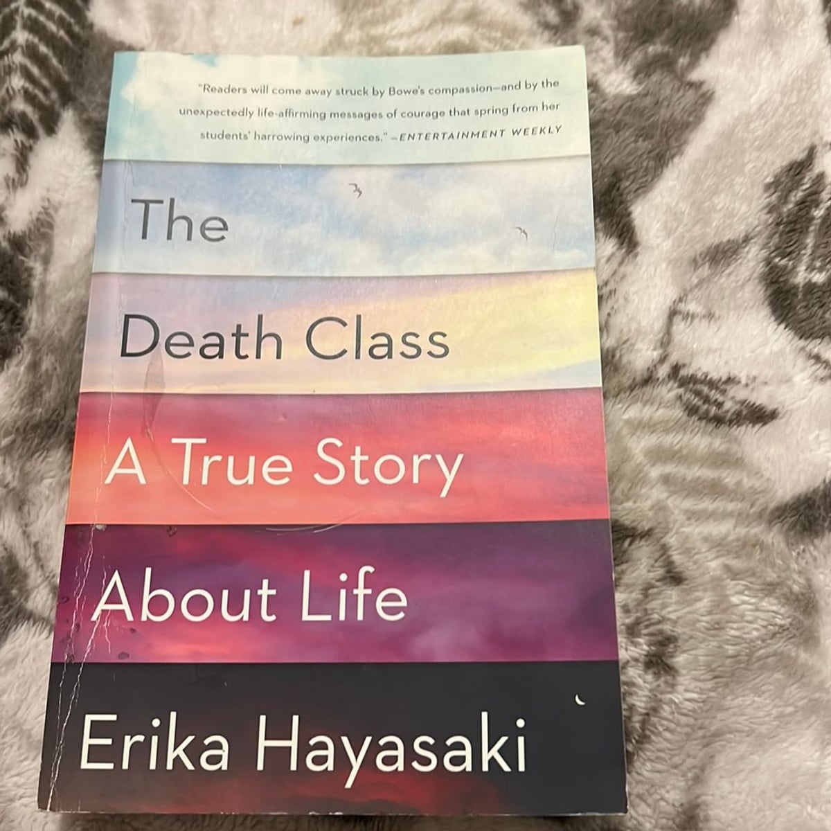 The Death Class by Erika Hayasaki