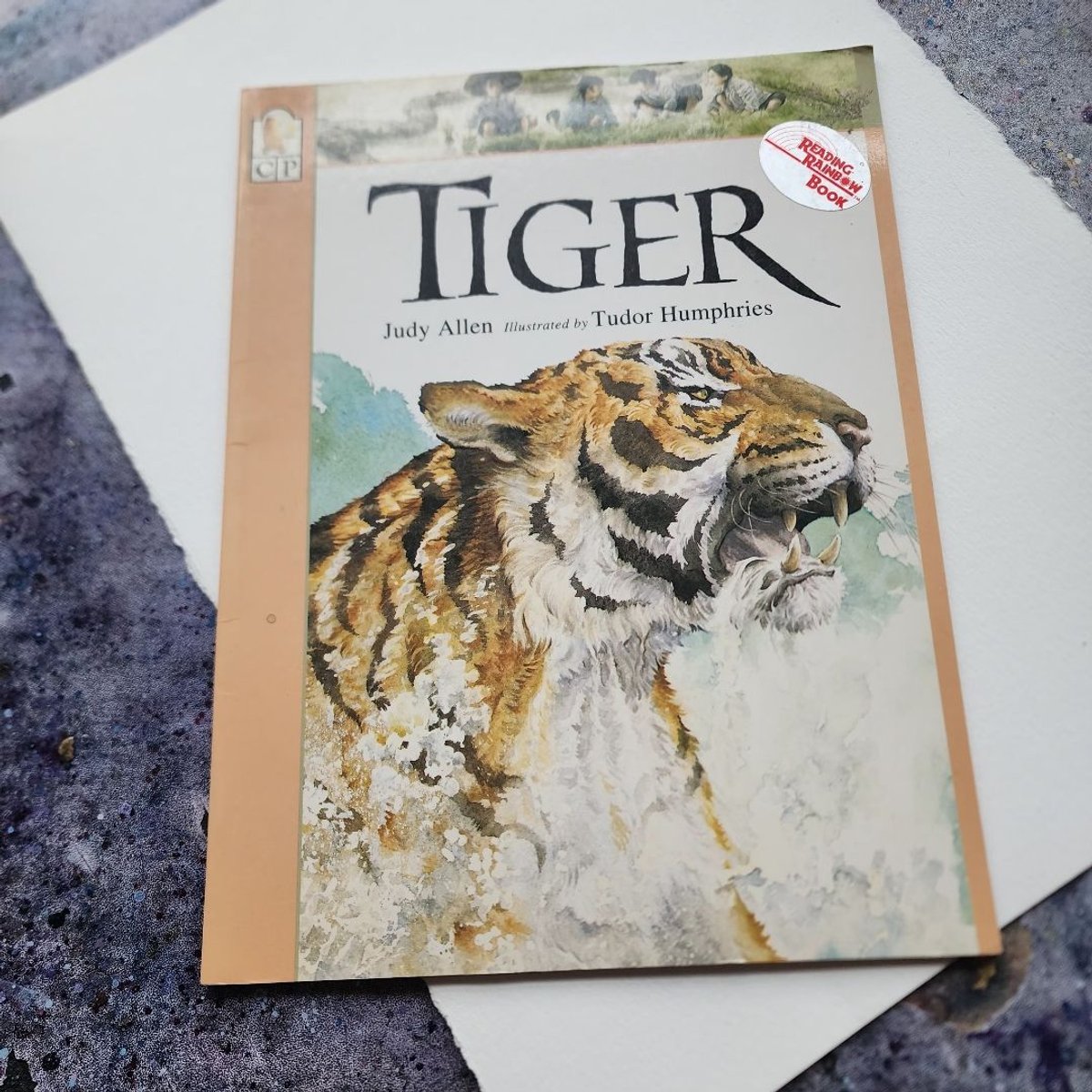Tiger by Judy Allen
