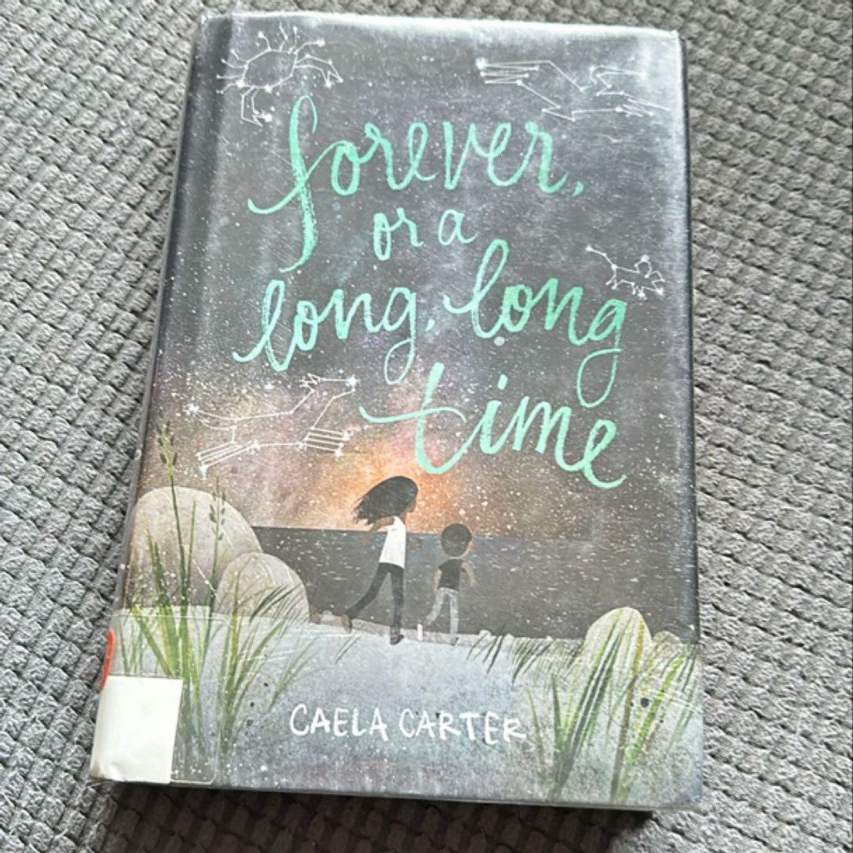 Forever, or a Long, Long Time by Caela Carter