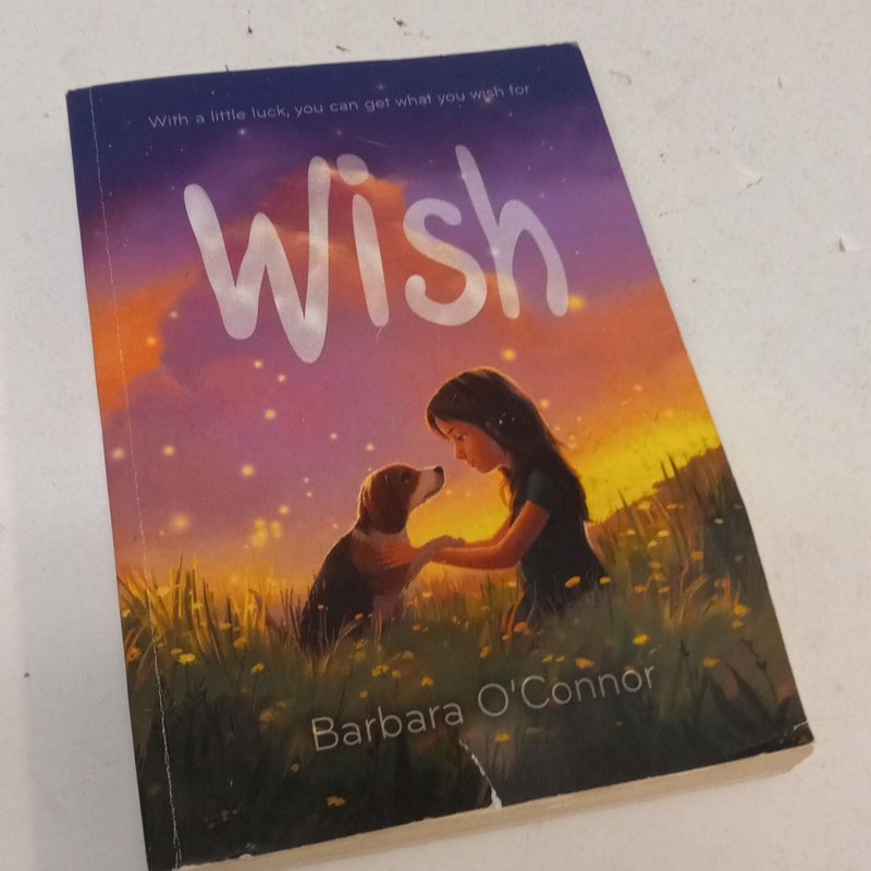Wish by Barbara. O'Connor, Paperback | Pangobooks