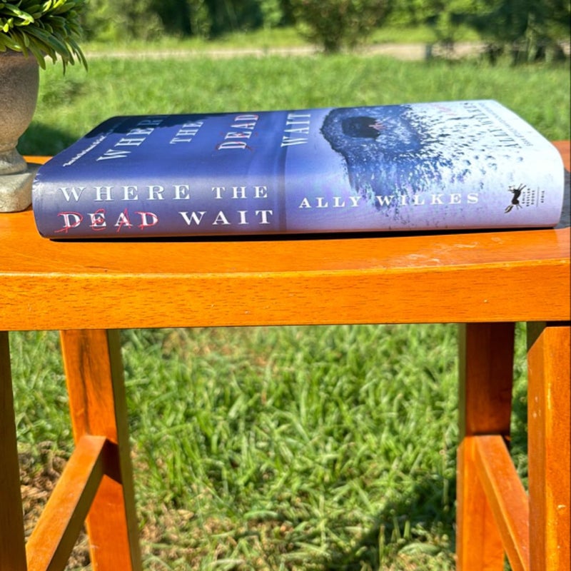 Where the Dead Wait by Ally Wilkes