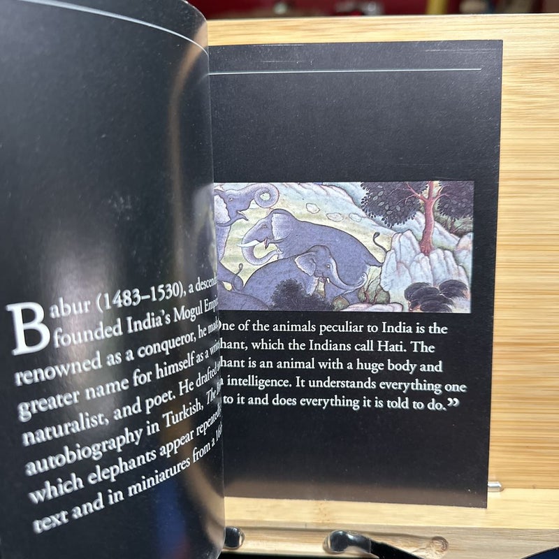 The Life and Lore of the Elephant by Robert Delort, Paperback | Pangobooks