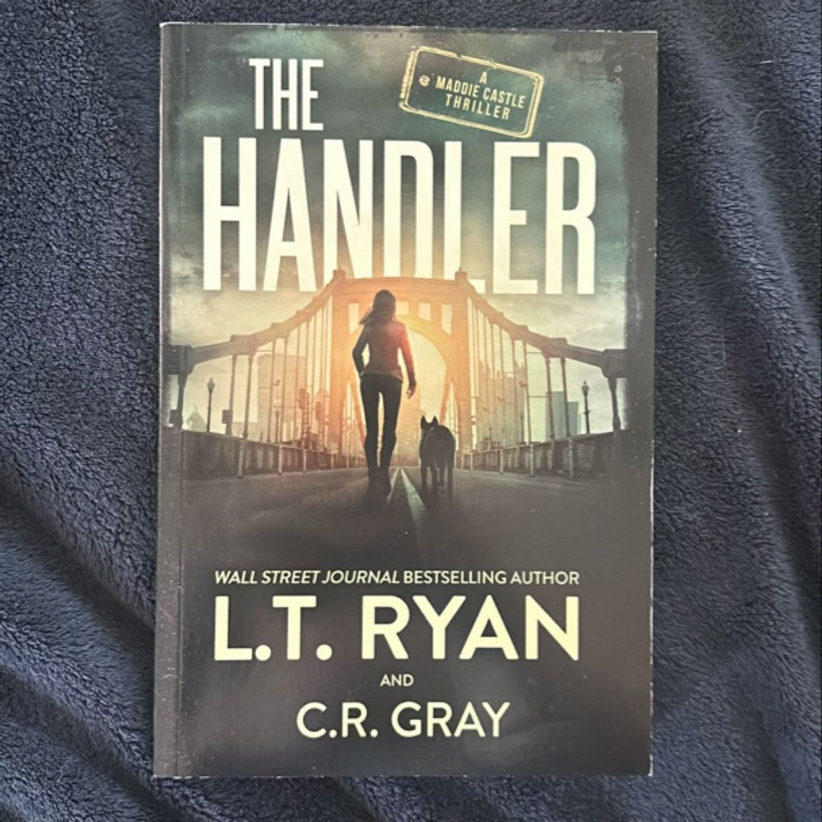 The Handler by L. T. Ryan, C. R. Gray