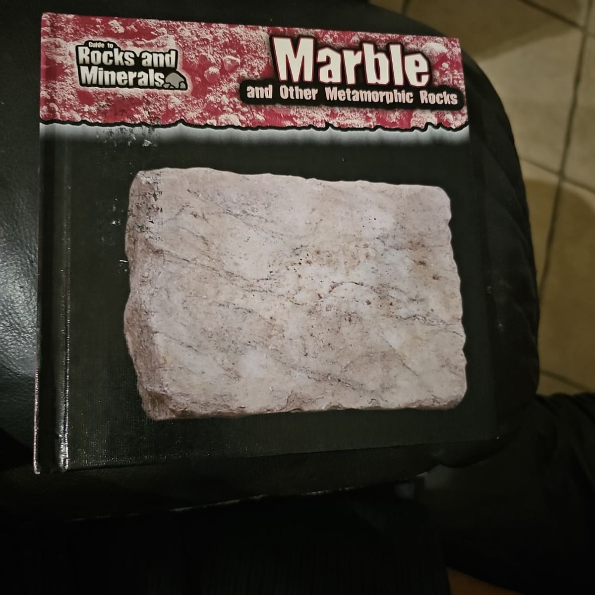 Marble and Other Metamorphic Rocks by Chris Pellant, Helen Pellant