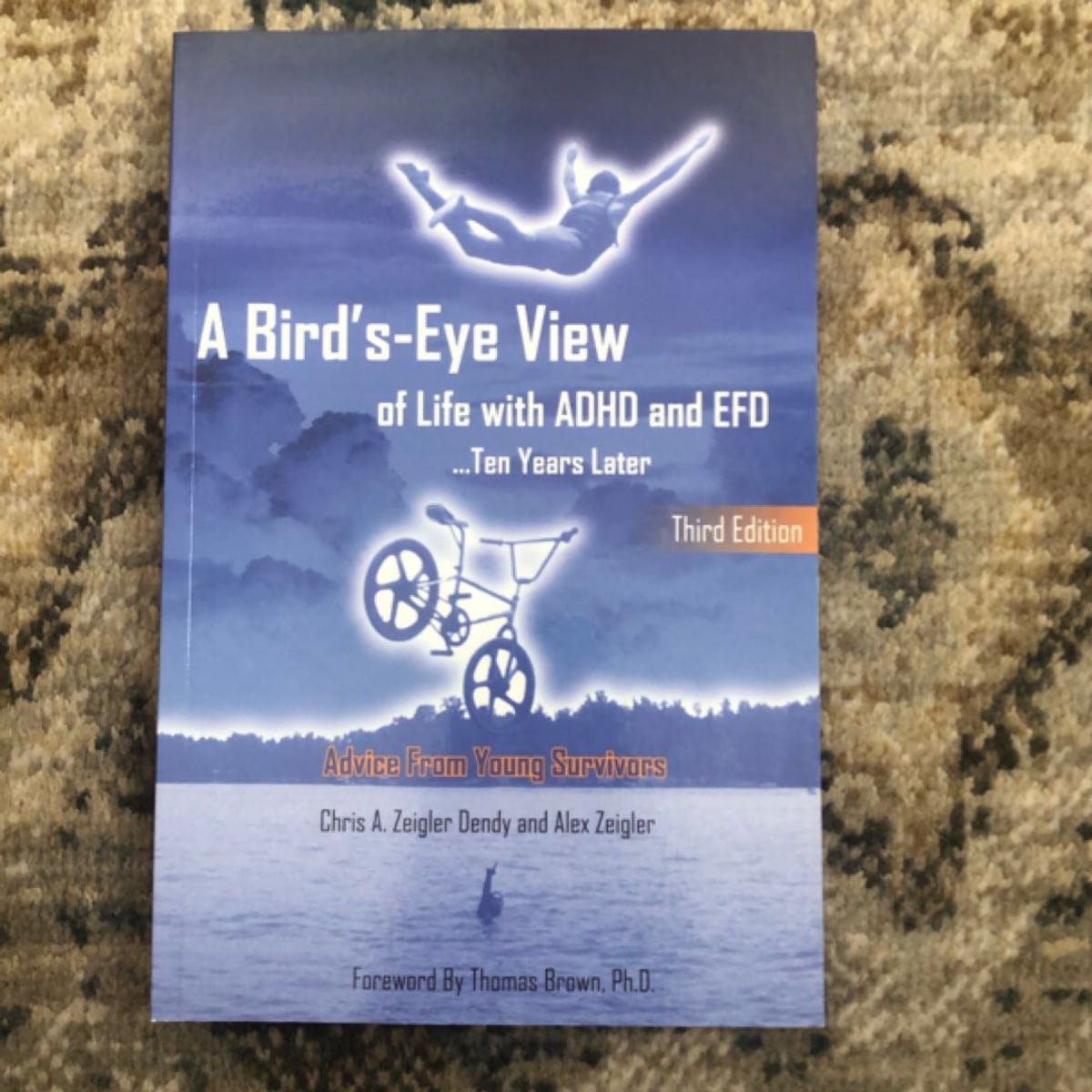 A Bird's-Eye View of Life with ADHD and EFD ... Ten Years Later, 3rd Ed ...