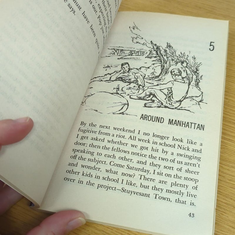 It's Like This, Cat by Emily Cheney Neville , Paperback | Pangobooks