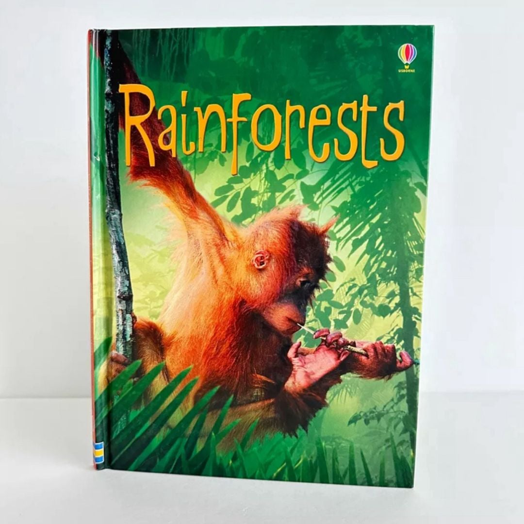 Usborne Rainforests, Usborne Beginners by Lucy Beckett-Bowman ...