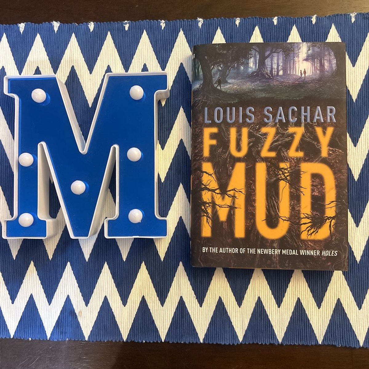 Fuzzy Mud by Louis Sachar