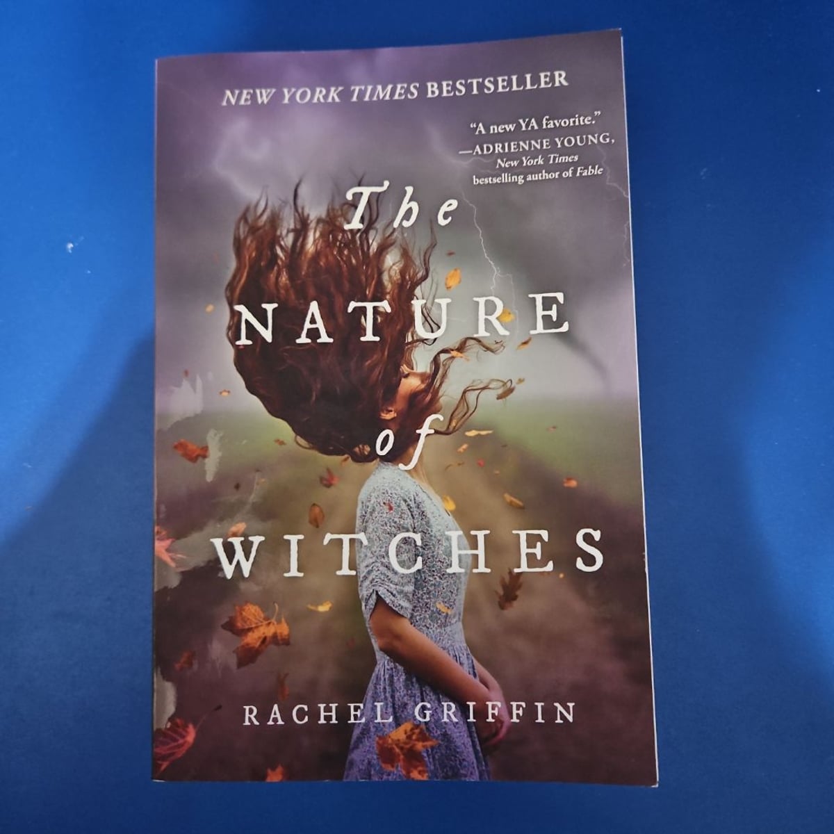 The Nature of Witches by Rachel Griffin