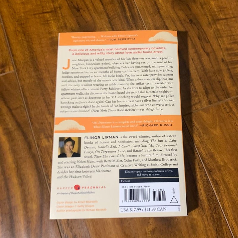 Ms. Demeanor by Elinor Lipman, Paperback | Pangobooks