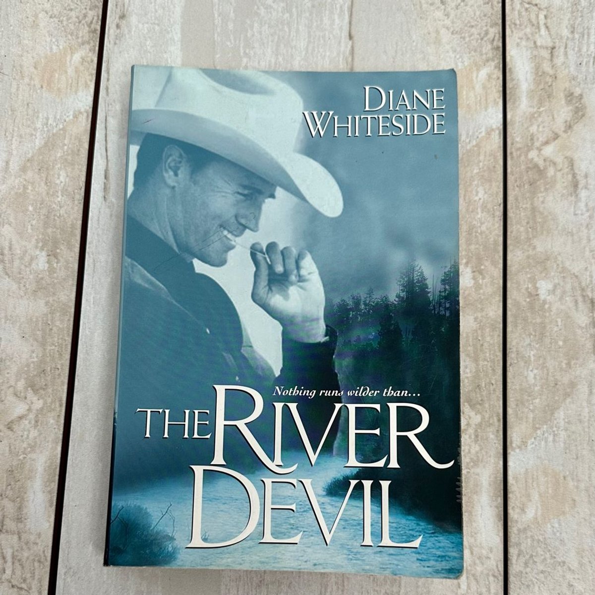 The River Devil by Diane Whiteside