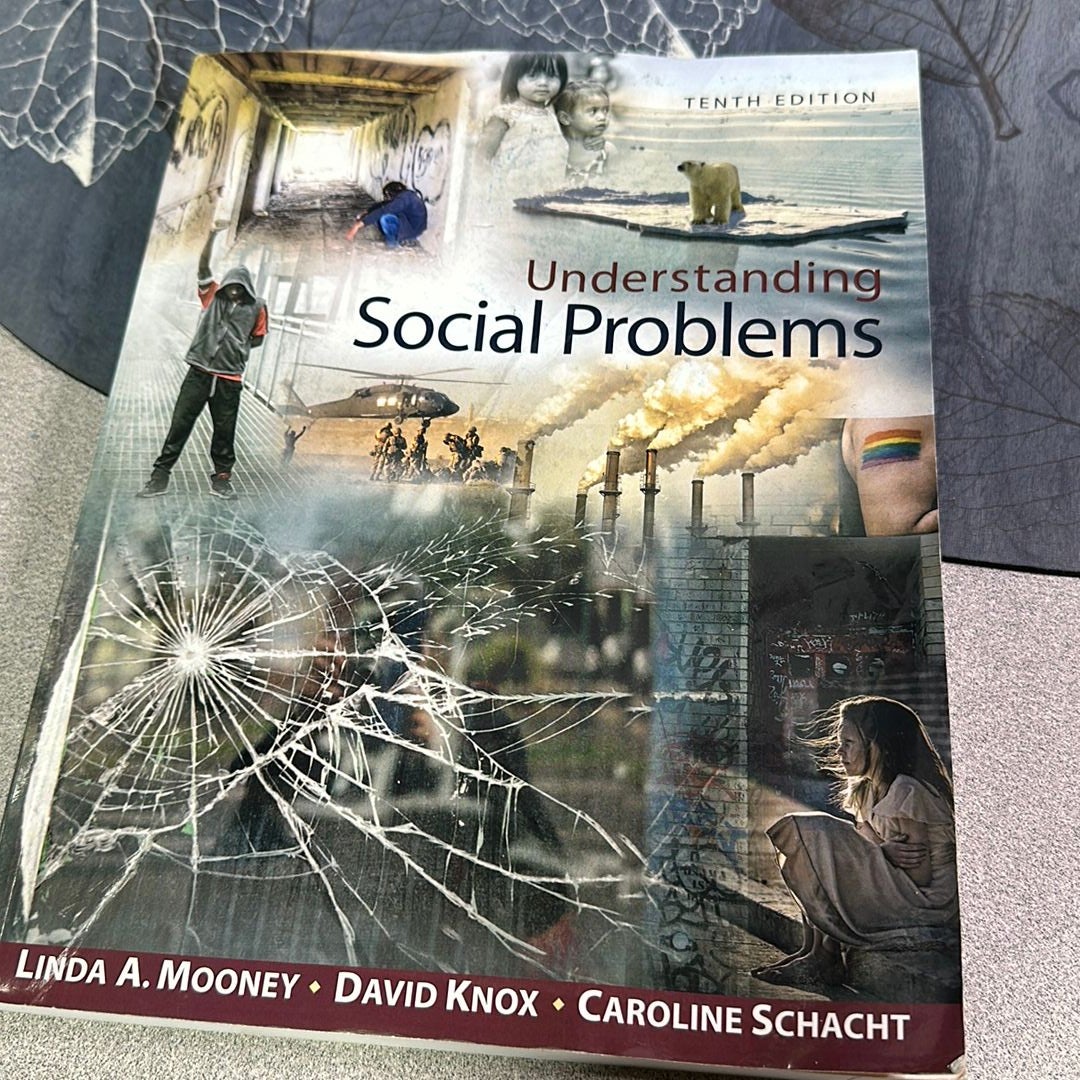 Understanding Social Problems by Linda A. Mooney, Paperback | Pangobooks
