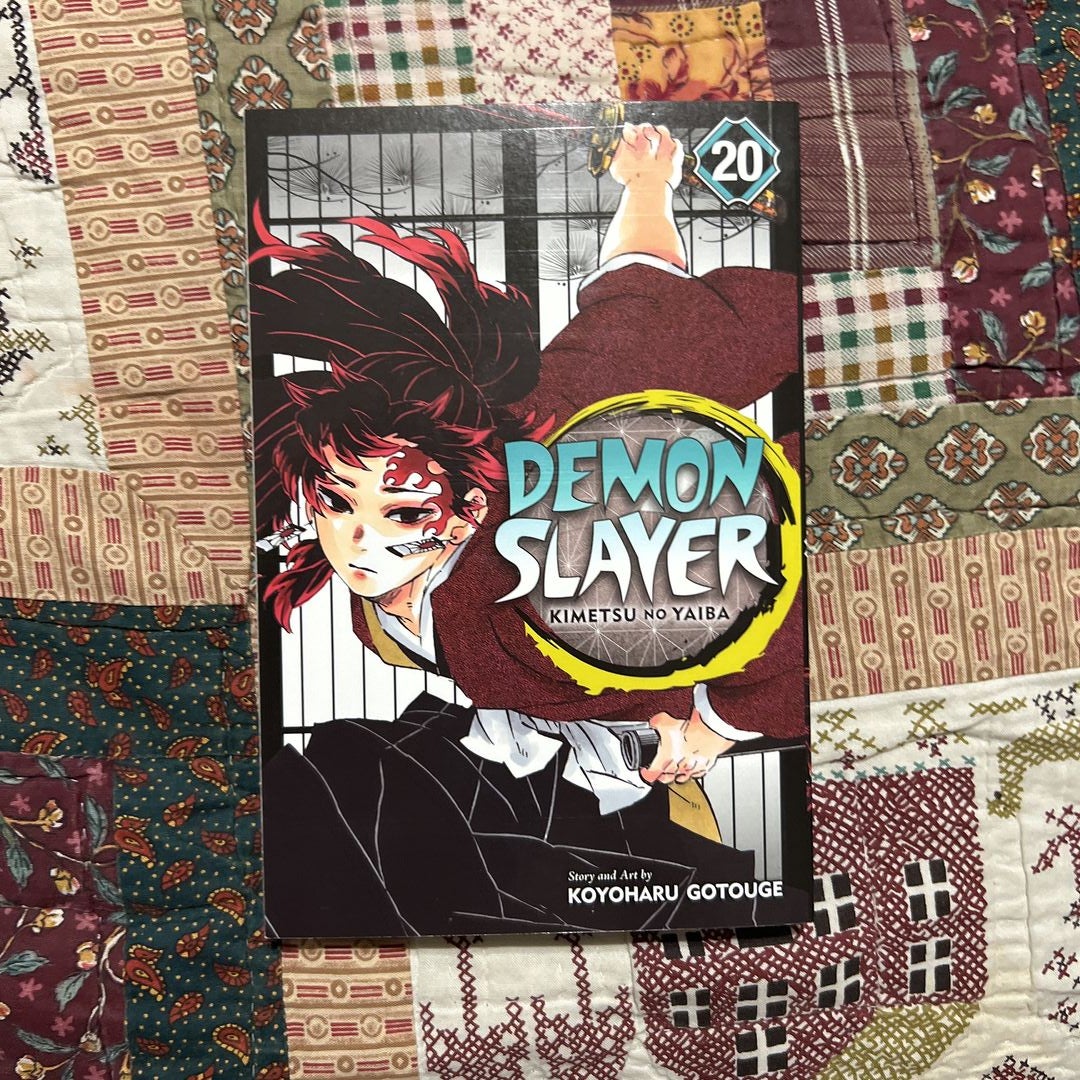 Demon Slayer: Kimetsu No Yaiba, Vol. 20