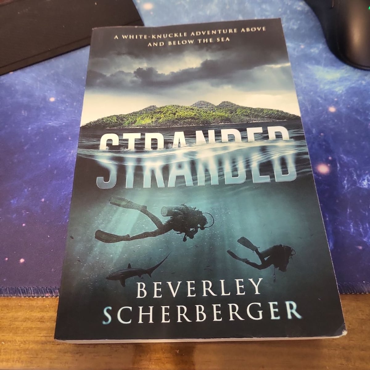 Stranded by Beverley Scherberger