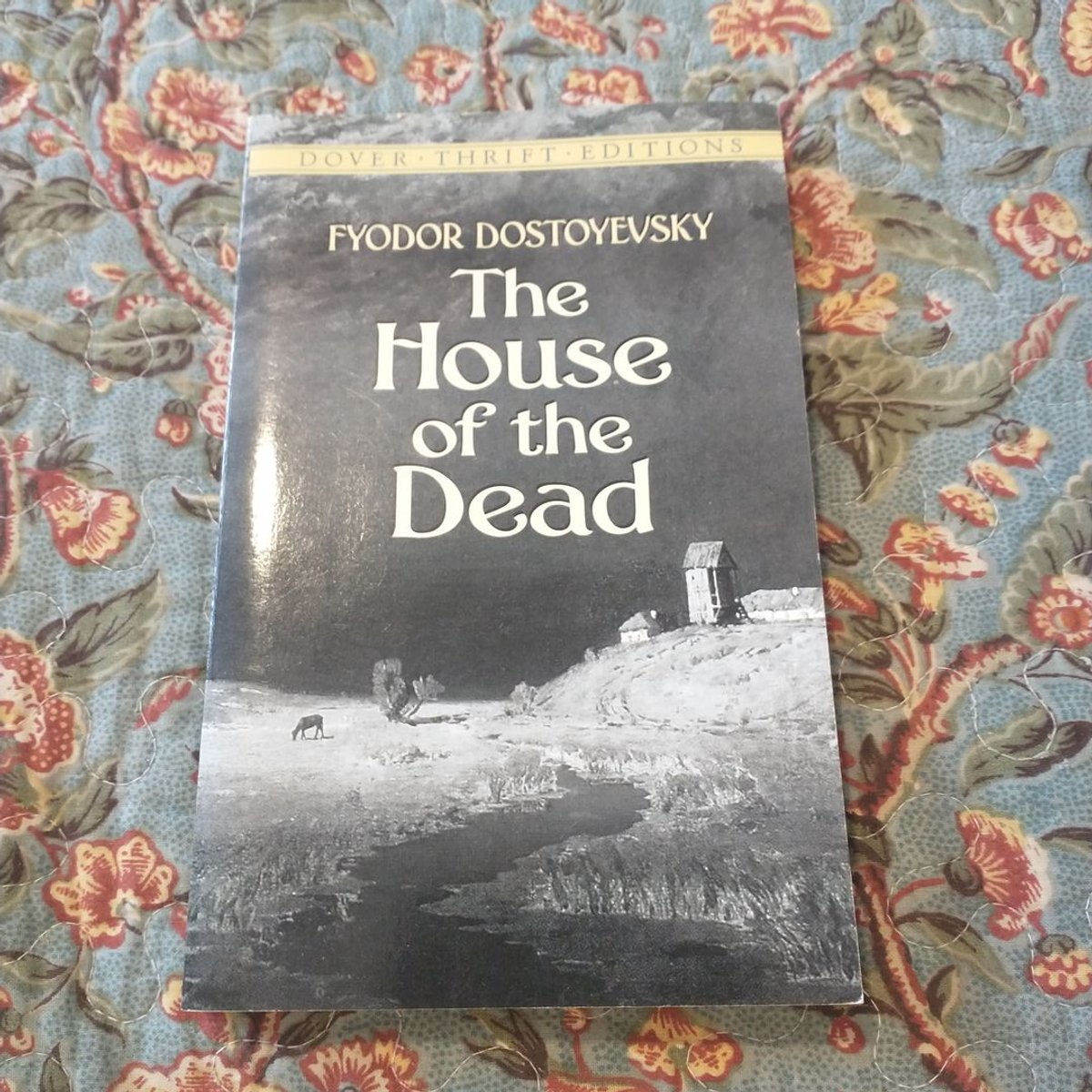 Notes from a Dead House by Fyodor Dostoevsky; Richard Pevear ...