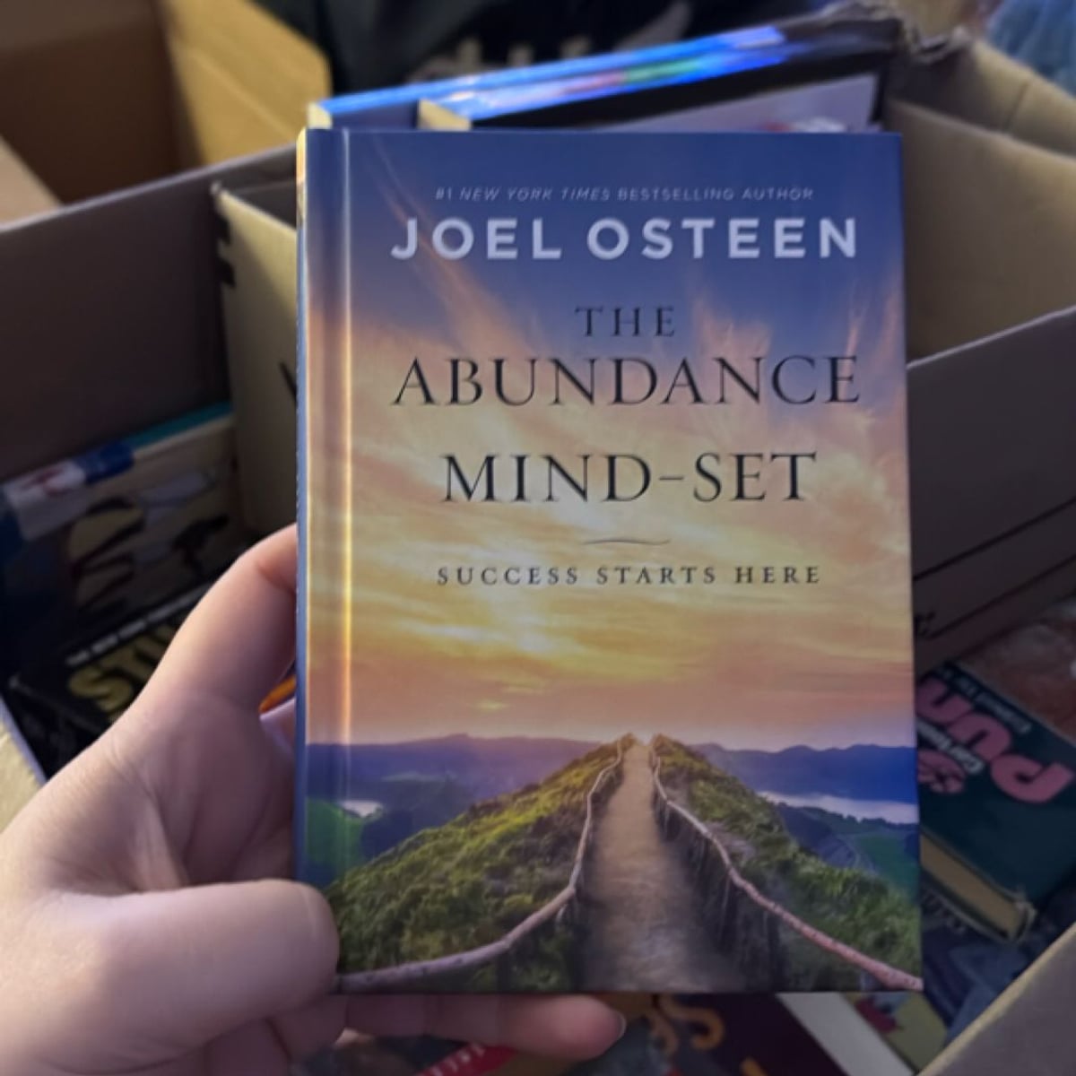 The Abundance Mind-Set by Joel Osteen