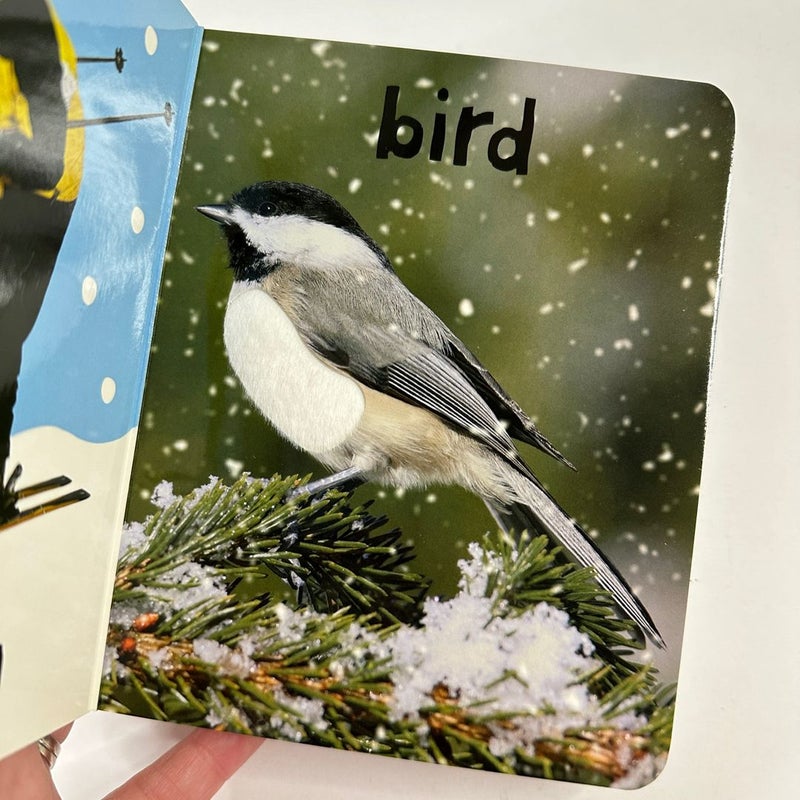 Winter, Touch and Feel Bright Baby (Board Book) by Priddy Books ...