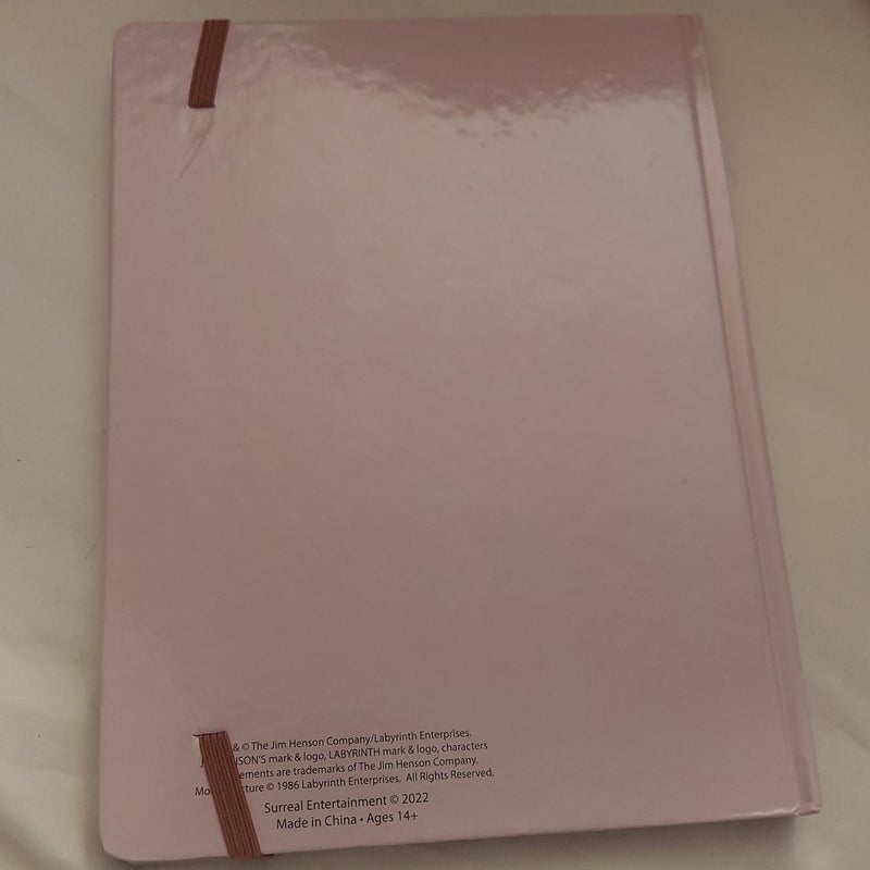 Labyrinth Notebook by N/A, Hardcover | Pangobooks