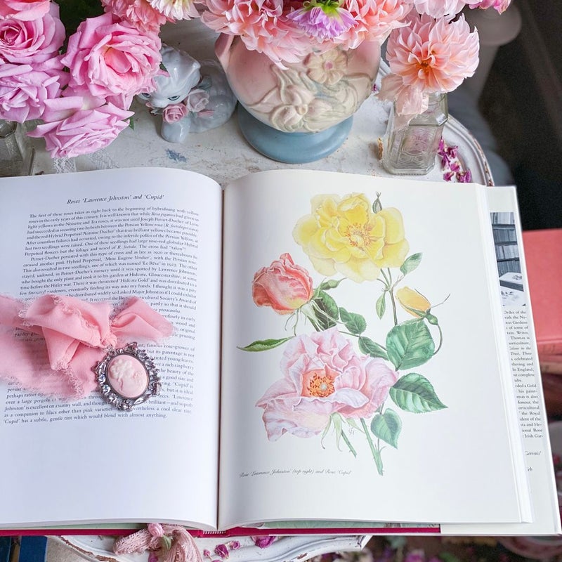 Complete Flower Paintings and Drawings of Graham Stuart Thomas by ...