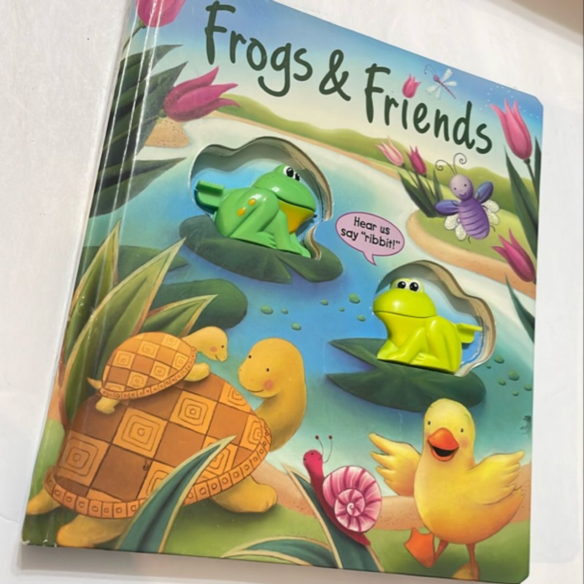 Frogs and Friends by Joanne Barkan