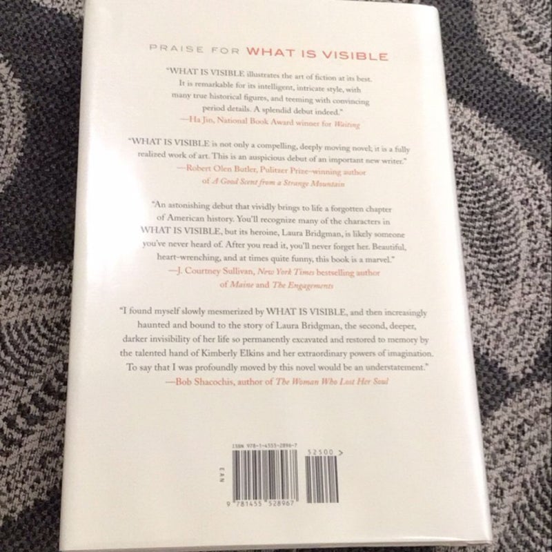 What Is Visible by Kimberly Elkins