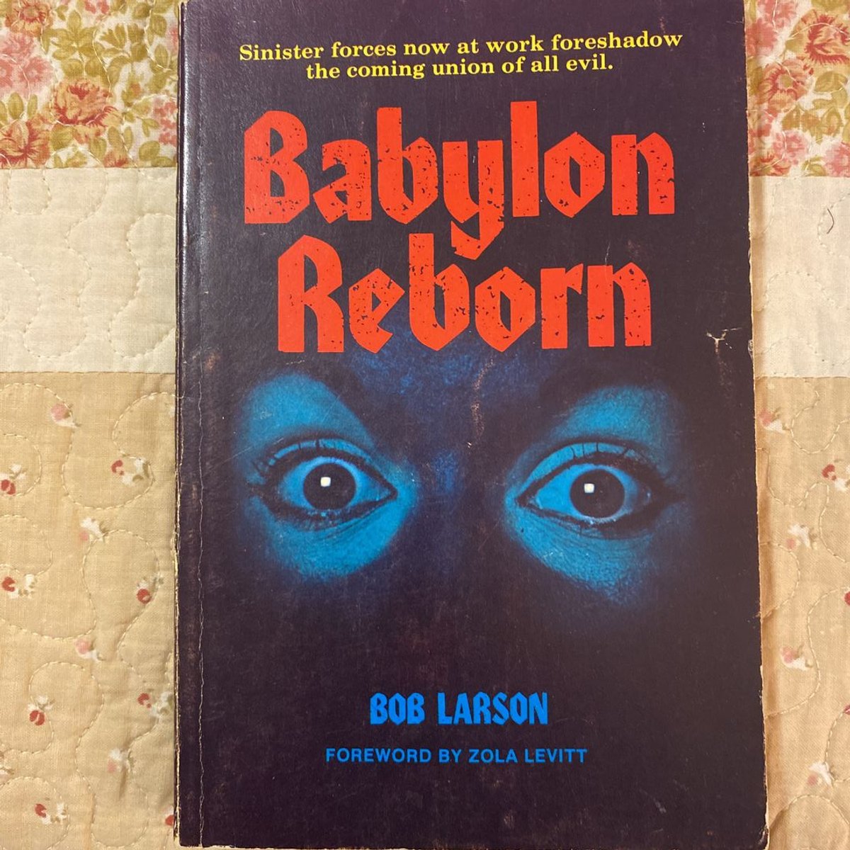 Babylon Reborn by Bob Larson