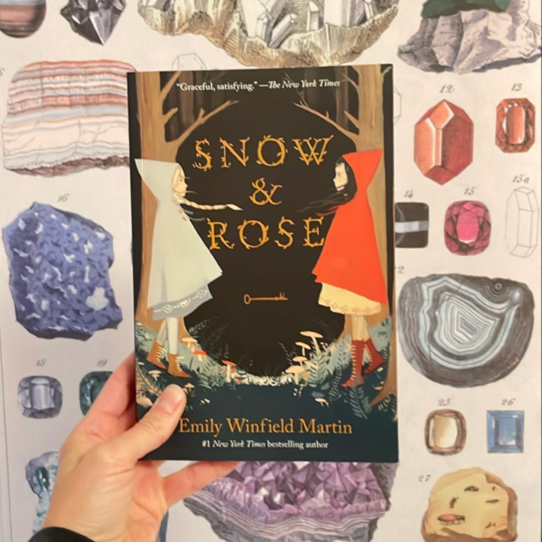 Snow and Rose by Emily Winfield Martin