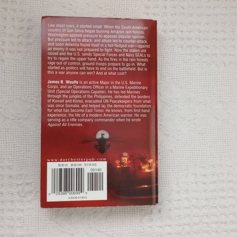 Against All Enemies by James B. Woulfe
