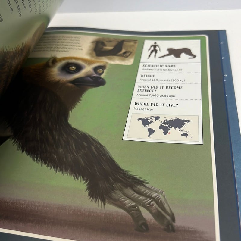 Stone Age Beasts by Ben Lerwill, Hardcover | Pangobooks